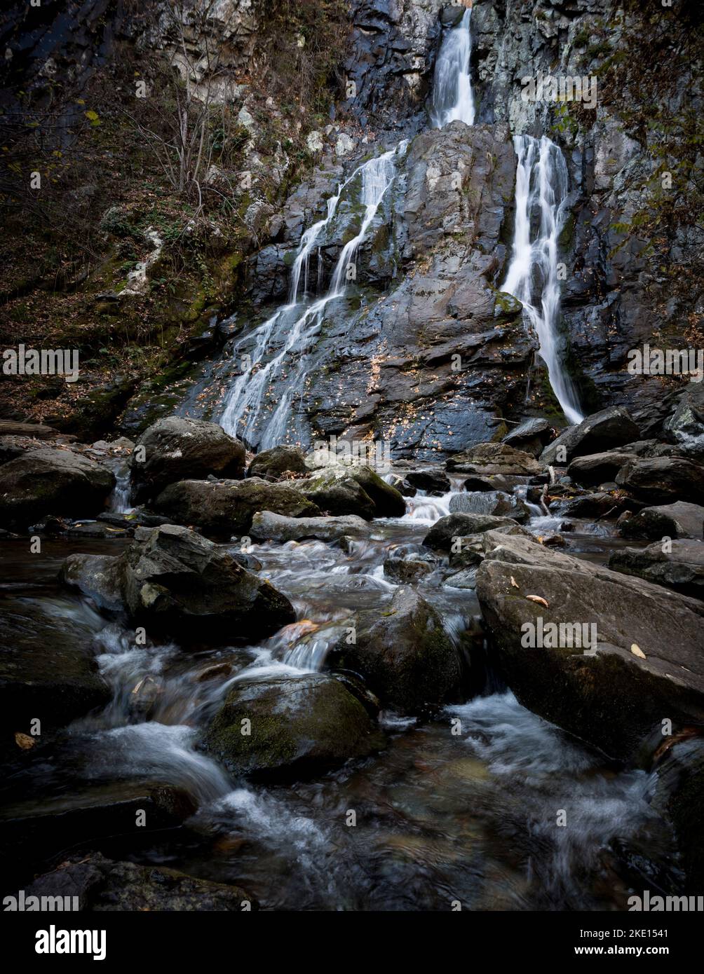 Fall colors in Shenandoah National park Stock Photo - Alamy