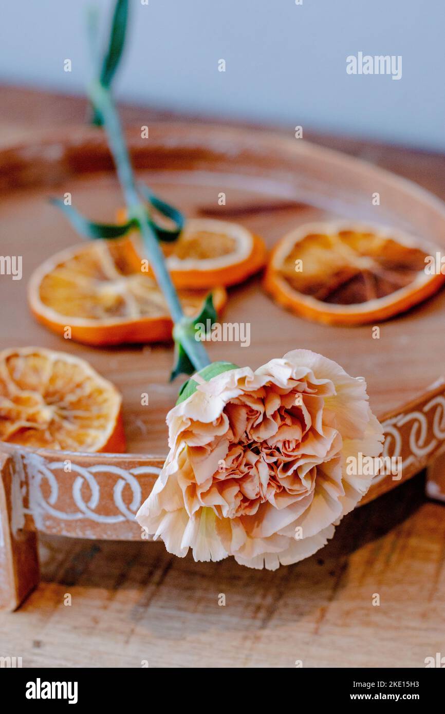 White rose with pink accents hi-res stock photography and images - Alamy