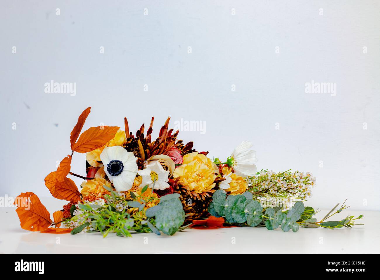 Assorted Fall Flowers on White Background Stock Photo - Alamy