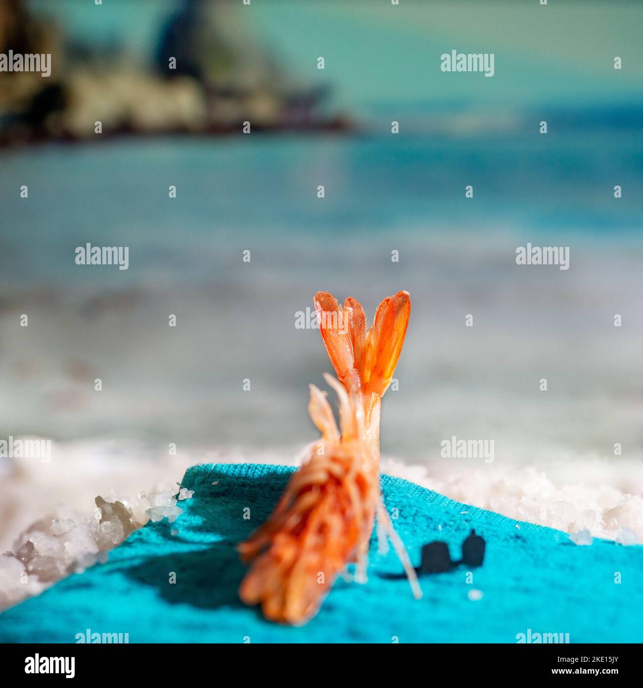 Mini villa hi-res stock photography and images - Alamy