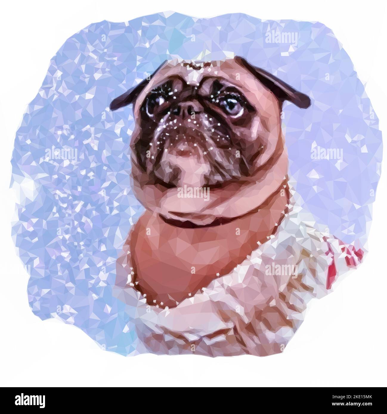 Pug dog with pullover in the snow. Snowflakes in the fur. Vector in Low ...