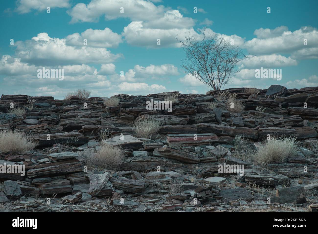 Nature pattern of the Saudi Arabian desert Stock Photo - Alamy