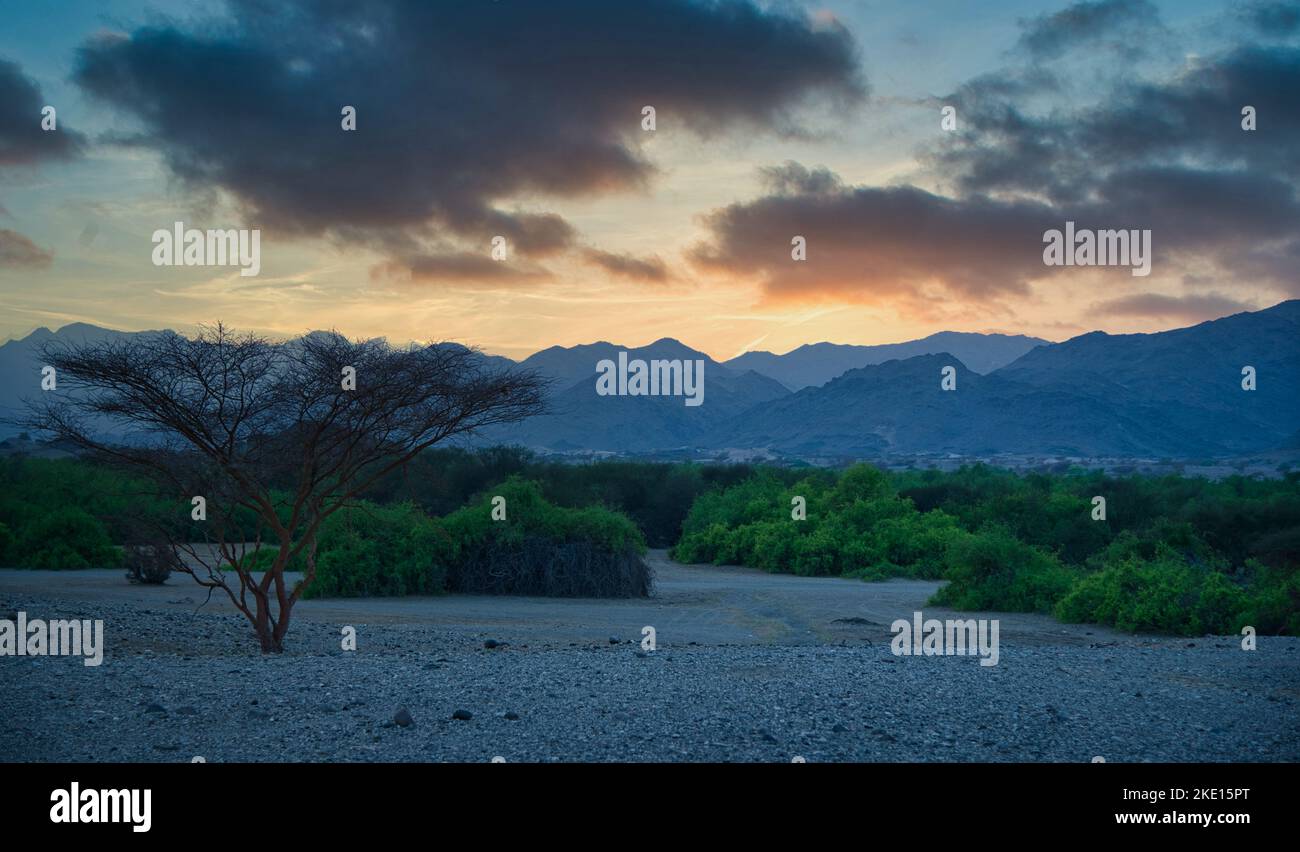 Arabian landscape hi-res stock photography and images - Alamy