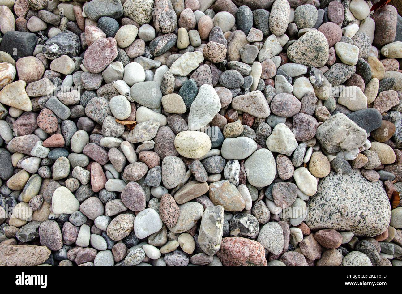 A closeup top view of beach cobbles Stock Photo - Alamy