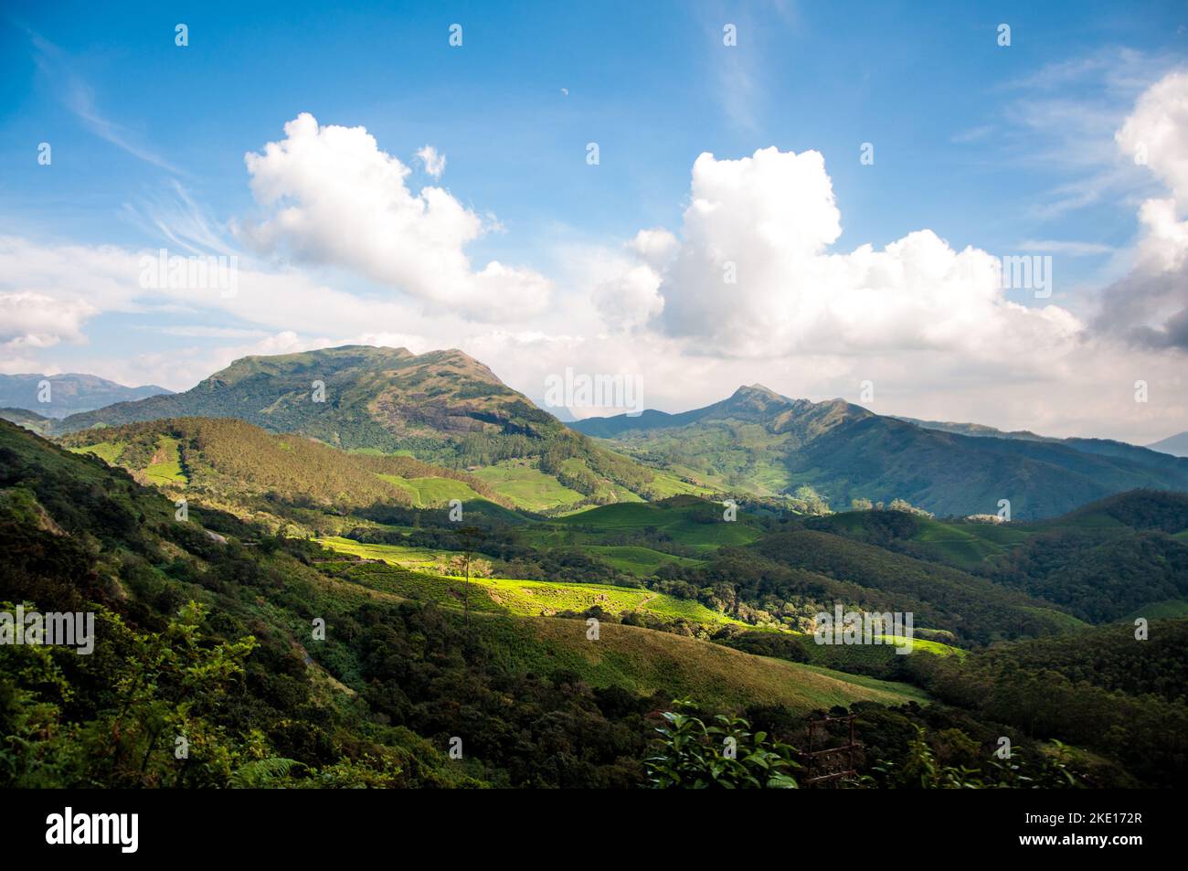 An aerial view of a beautiful forest near the mountains in Kanthalloor ...