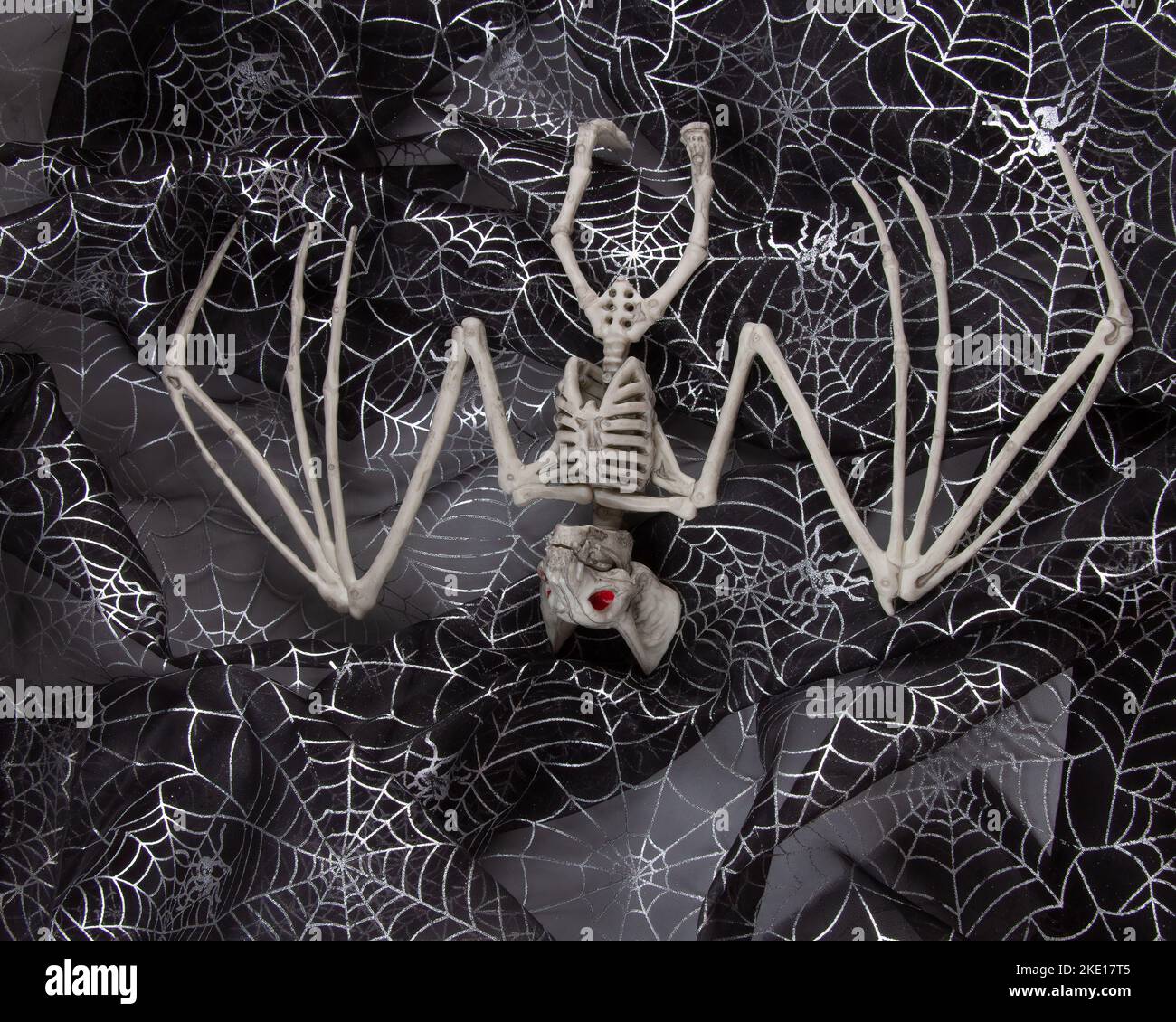 Bat skeleton isolated on black hi-res stock photography and images - Alamy