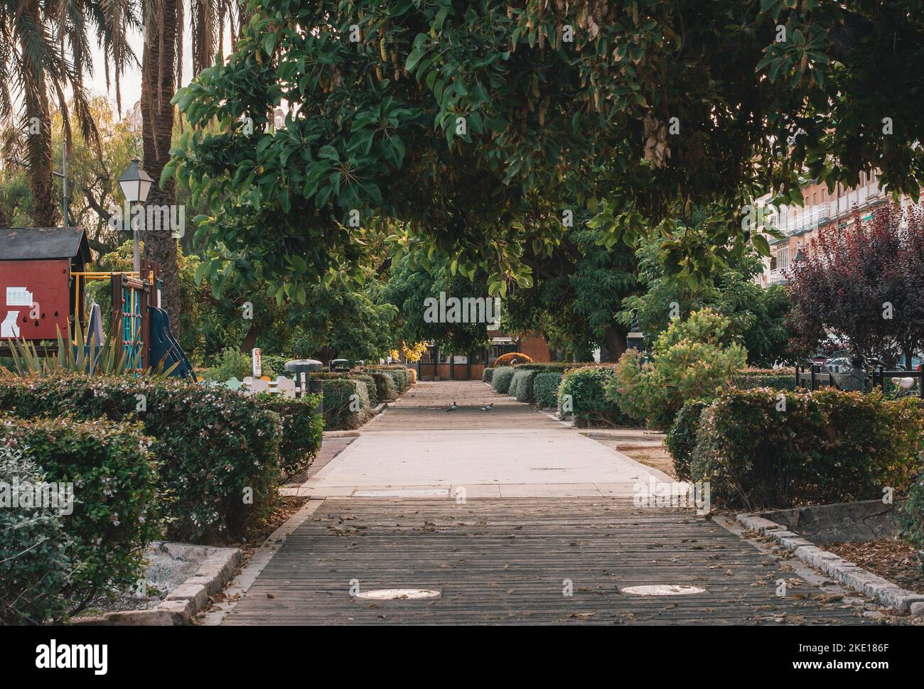 Valencia, Spain. A park with green plants, trees and bushes and a ...