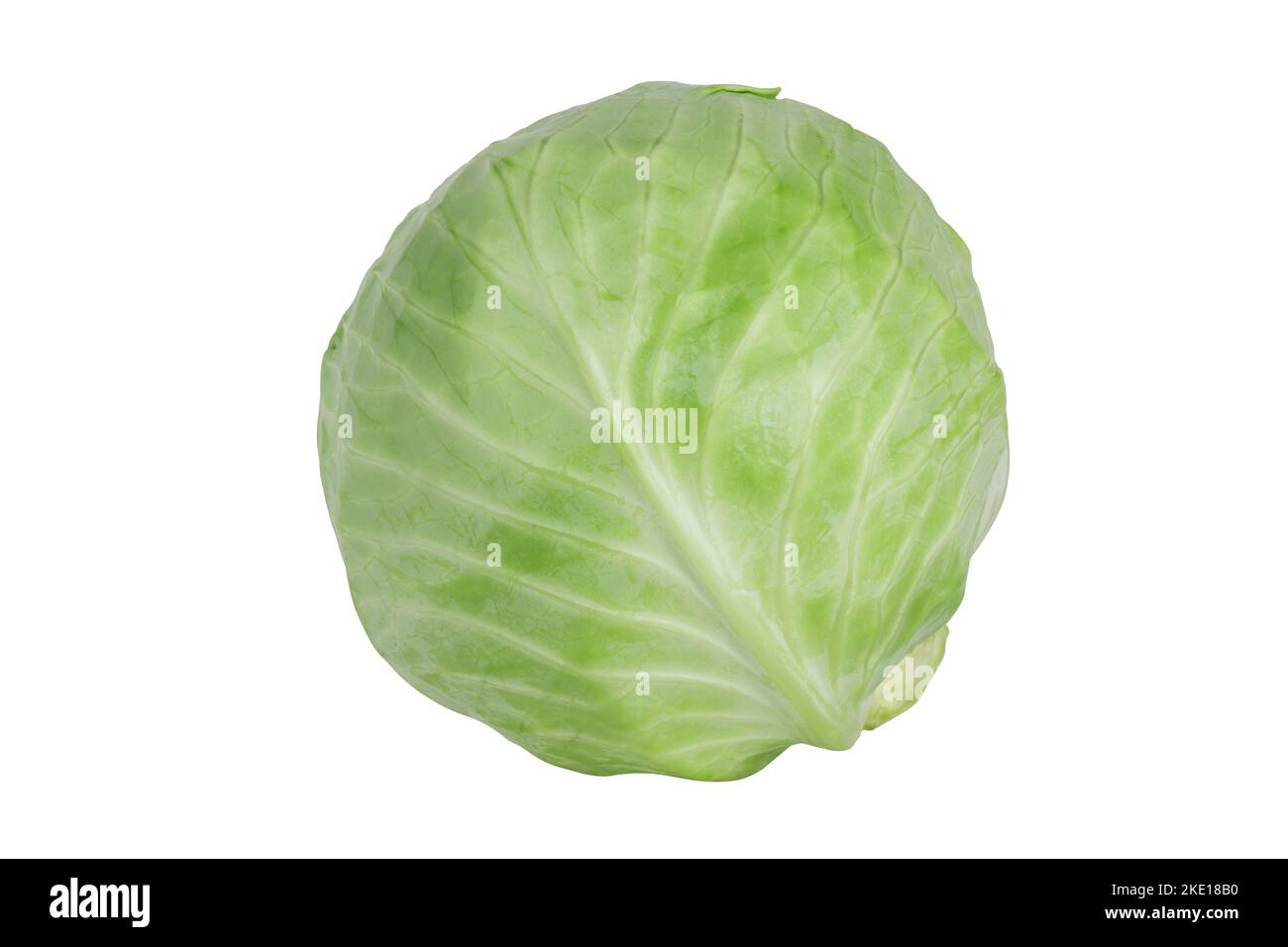 Green round cabbage isolated on white background. Close up of ...