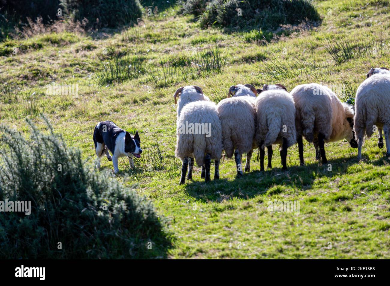 Chased by clouds hi-res stock photography and images - Alamy