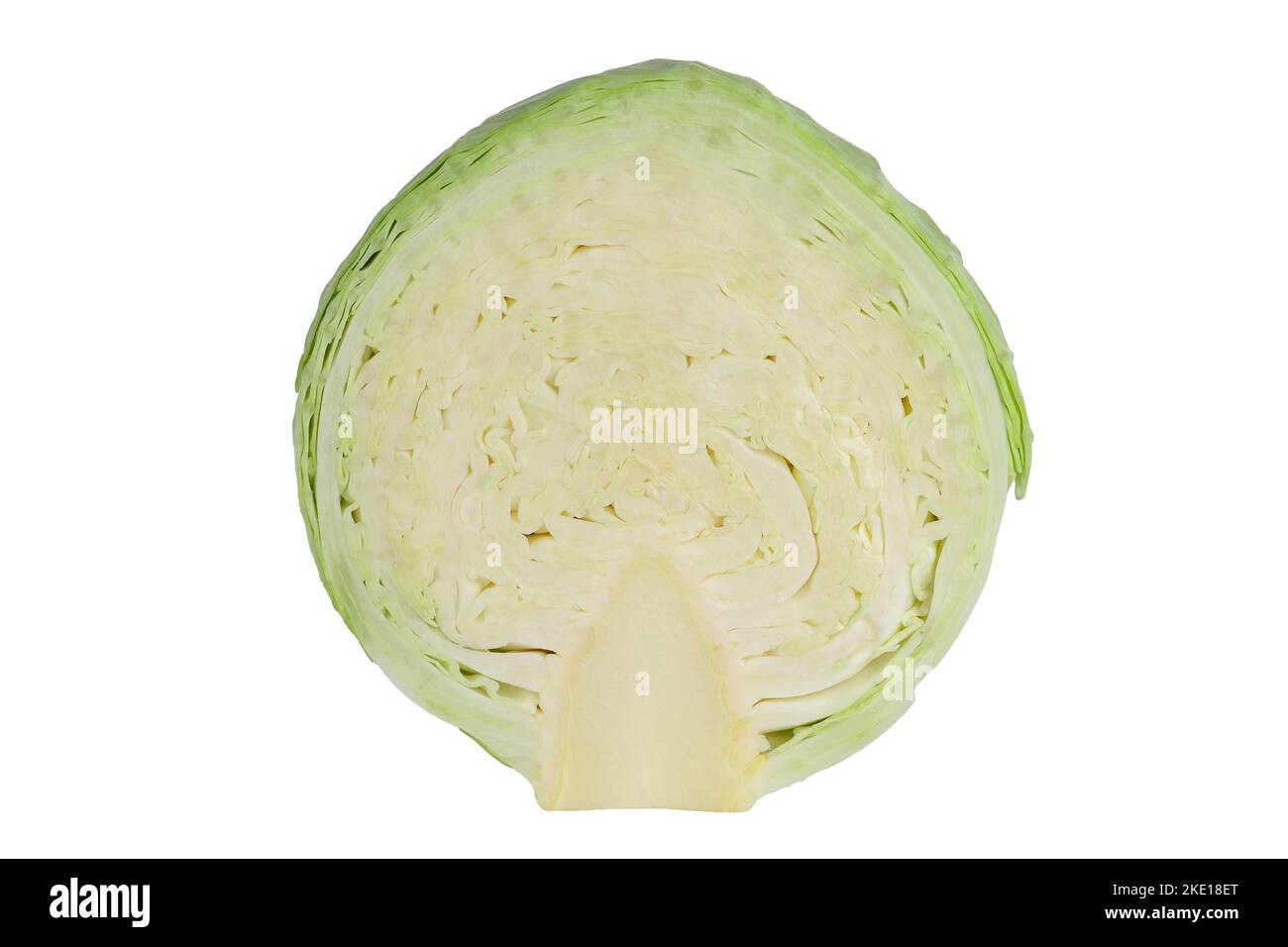 Green round cabbage cut in half, isolated on white background Stock ...