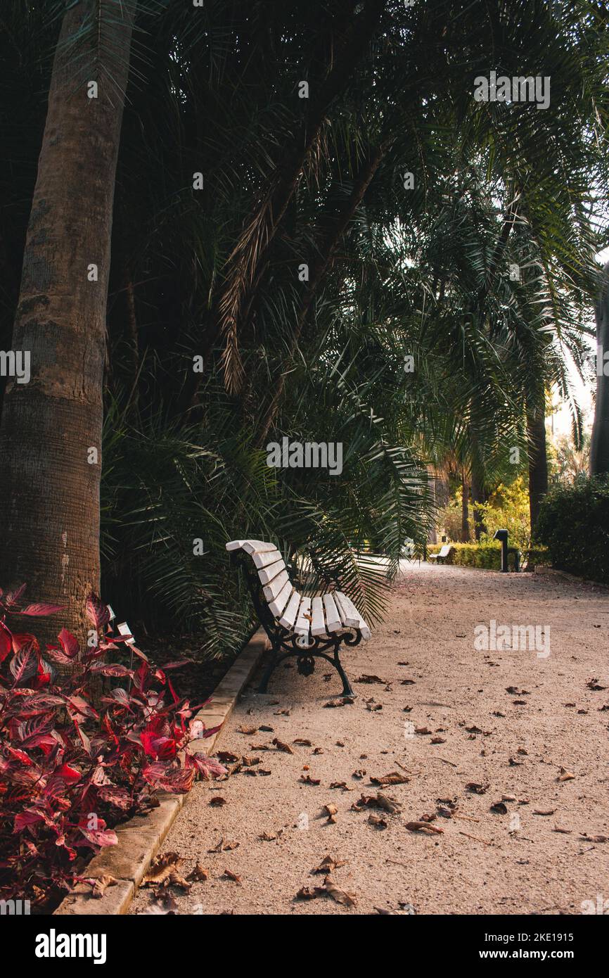 park with a sand visitor path bounded by concrete edges. There is a ...