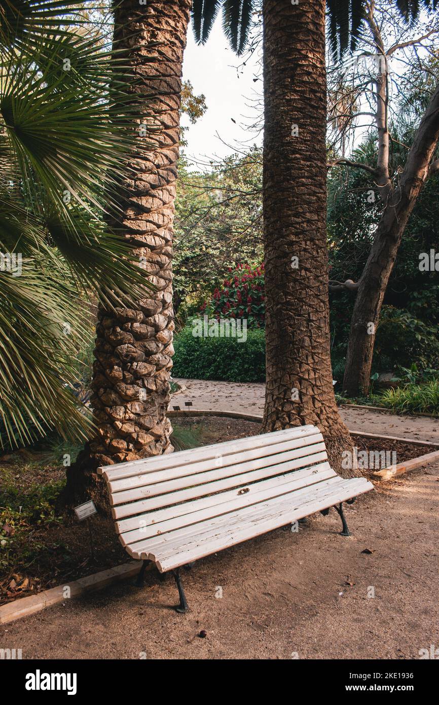 White concrete palm hi-res stock photography and images - Alamy