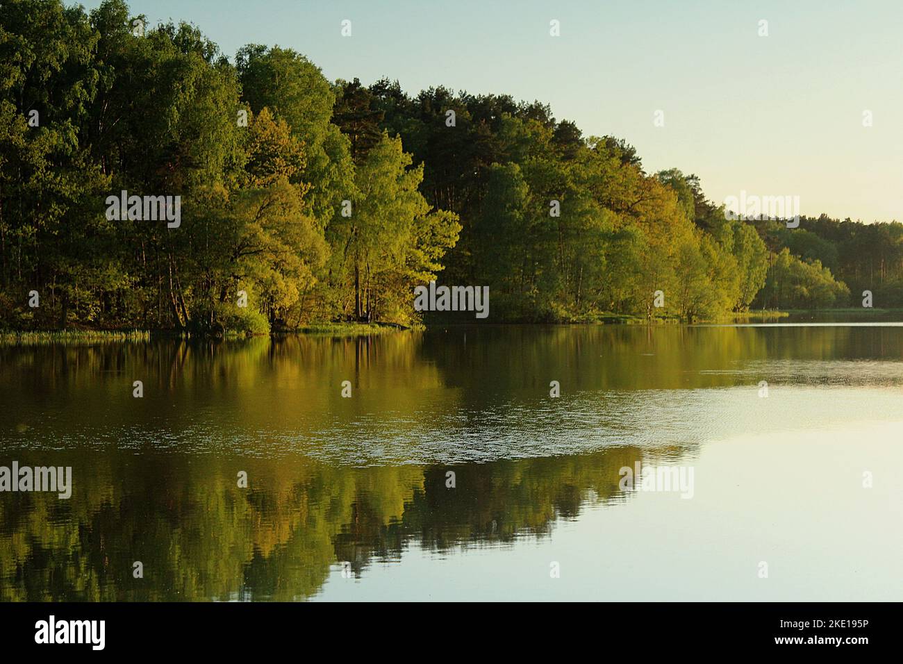 A beautiful shot of a lake in a forest reflecting the trees during the ...