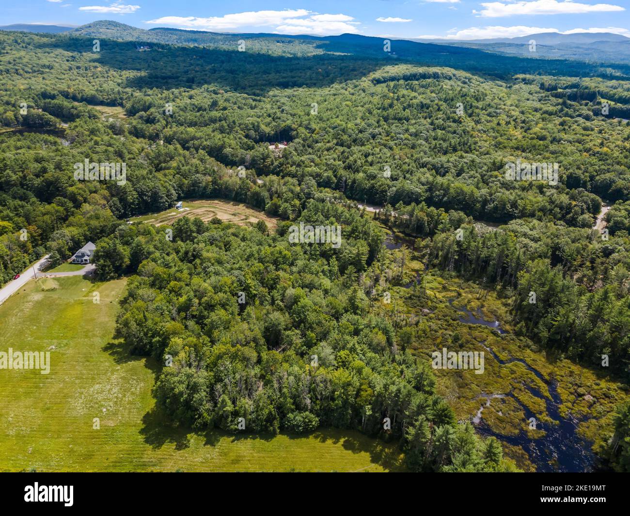 An aerial view of a forest with a modern custom new England colonial ...