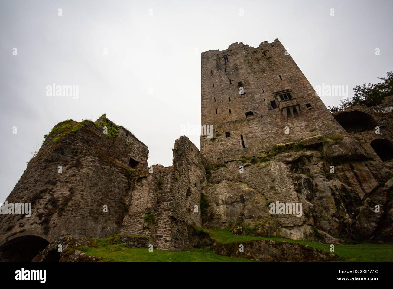 An old castle surrounded by trees Stock Photo - Alamy