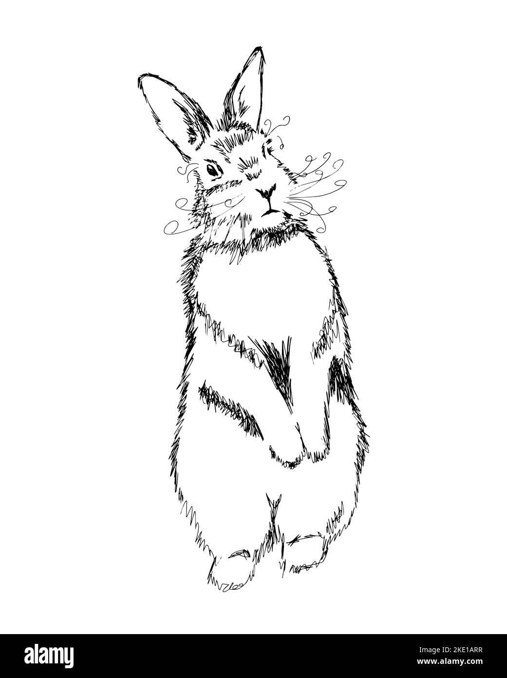 Hare outline by line. Vector illustration Stock Vector Image & Art - Alamy