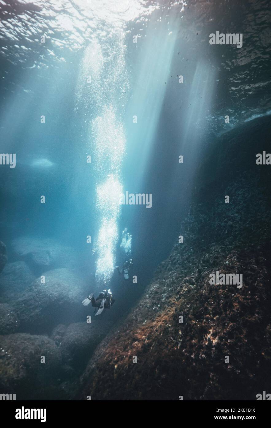 A vertical shot of scuba divers swimming underwater and exploring a ...