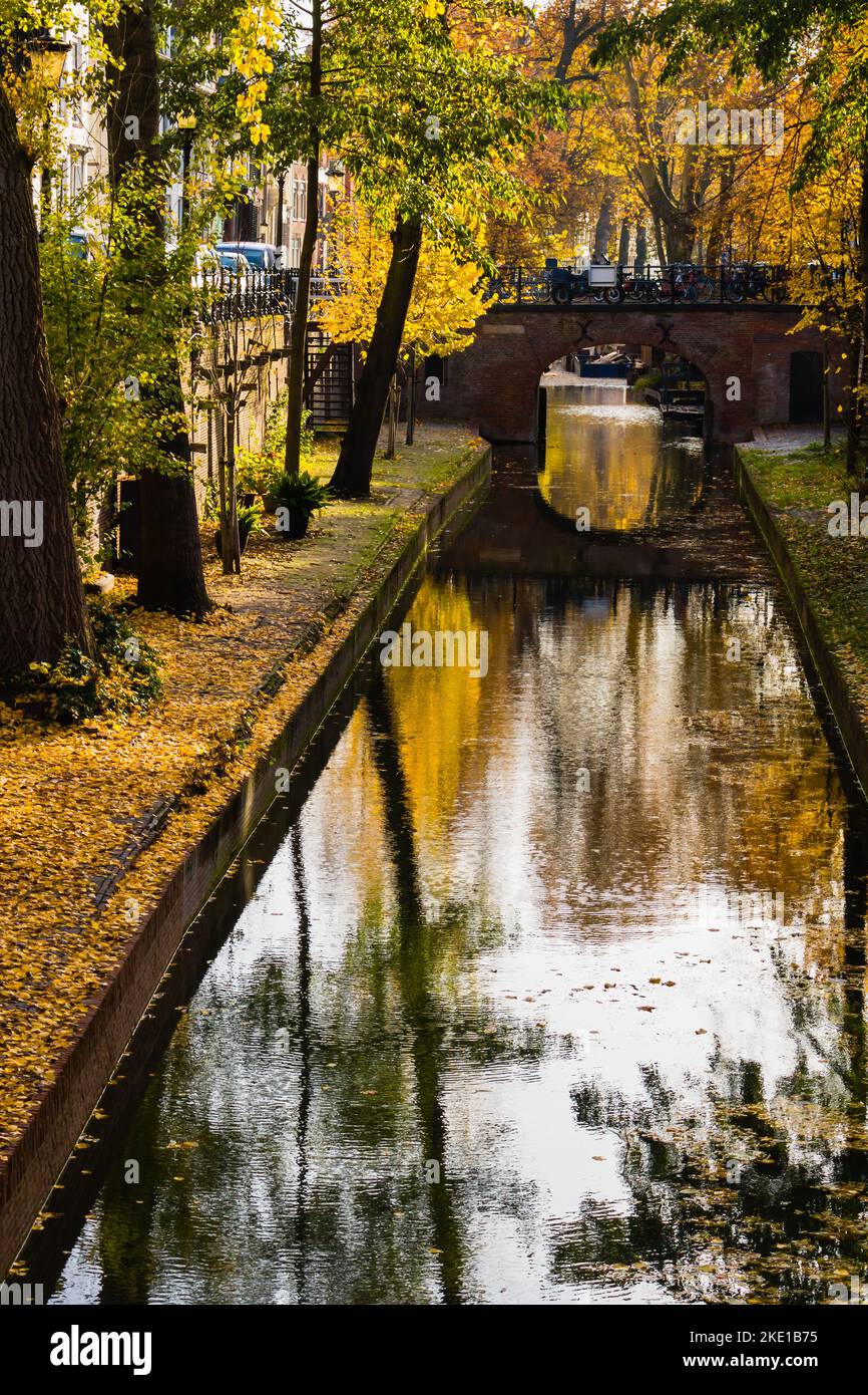 Autumn trees and a bridge over a canal in the historic city centre of ...