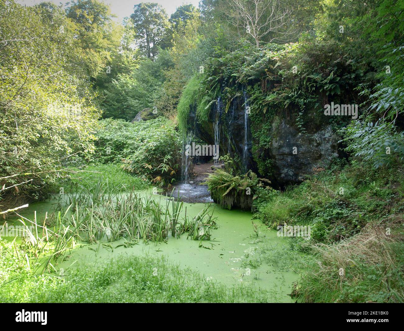 Enchanting pond with waterfall in a rural countryside somewhere in ...