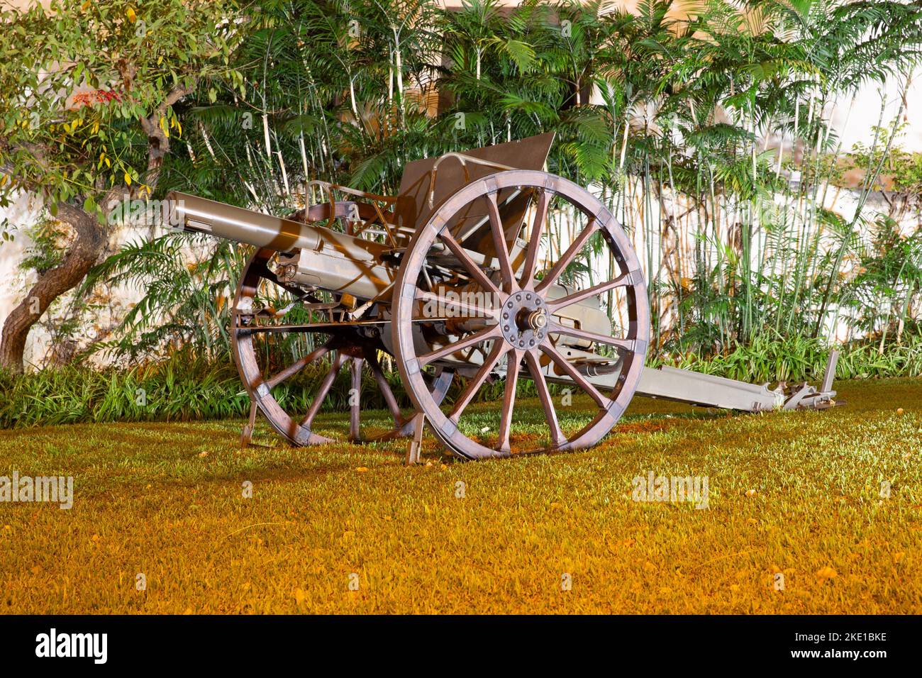 A view of the vintage field gun in a yellow field under green palm ...