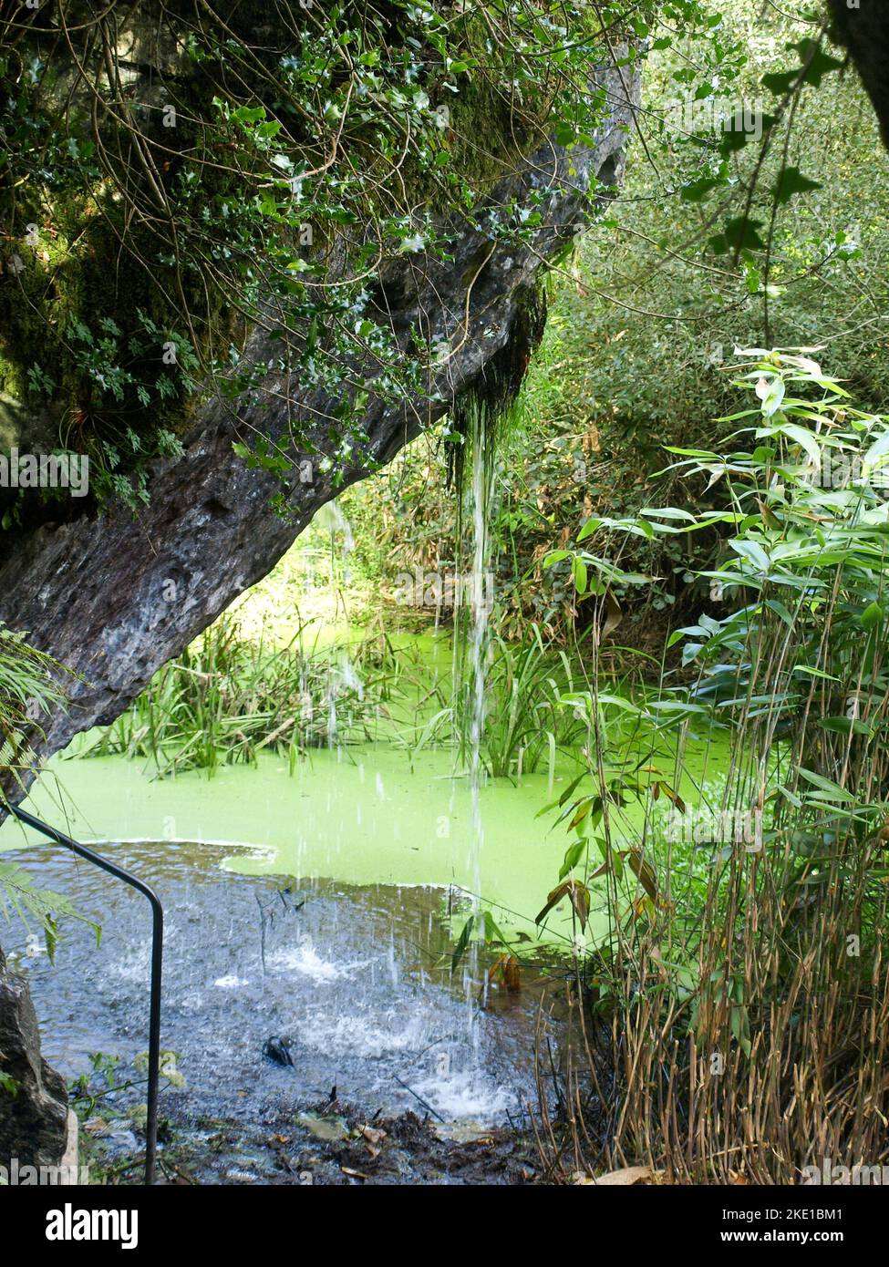 Spray lake ireland hi-res stock photography and images - Alamy