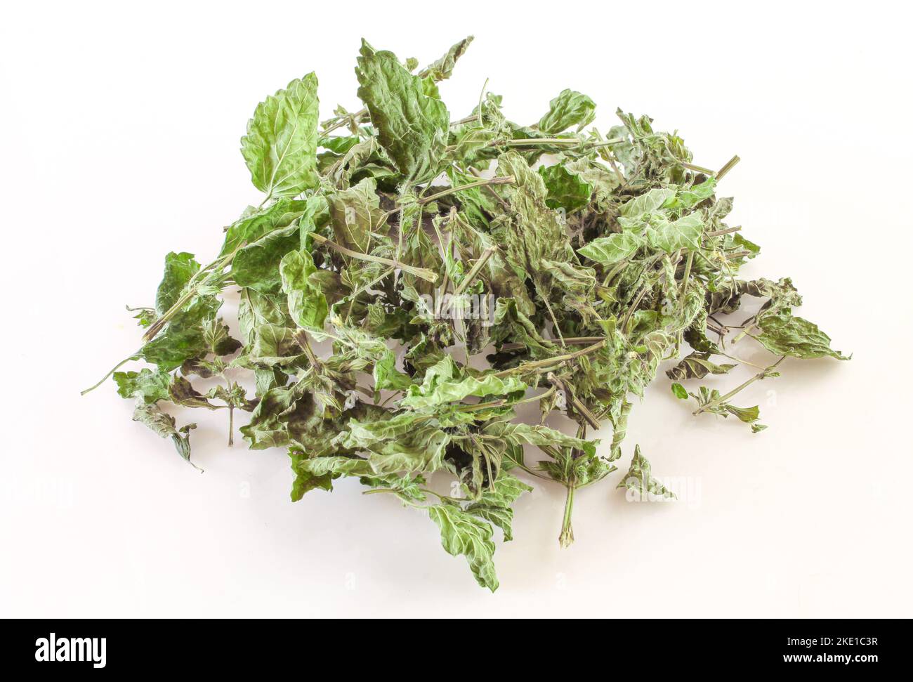 Handful of dry nettle herbs isolated on white background. Aromatic ...