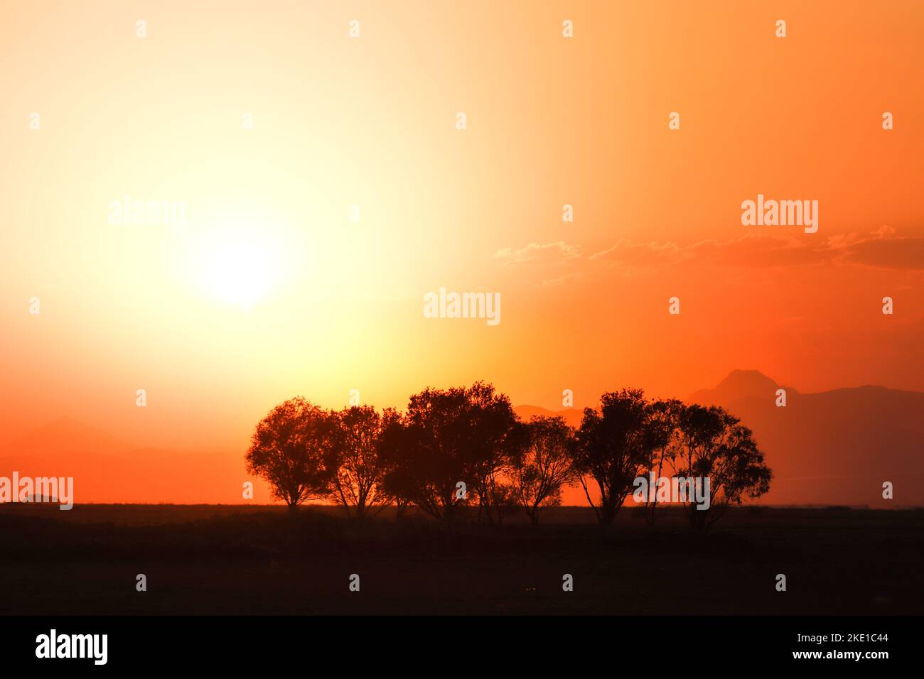 Sunset silhouettes. The sunset was taken in reverse light. Background ...