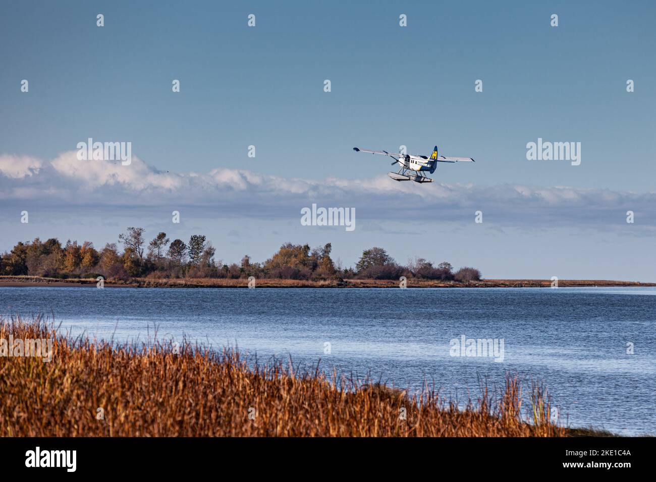Turbo Beaver float plane taking-off from an arm of the Fraser River in ...