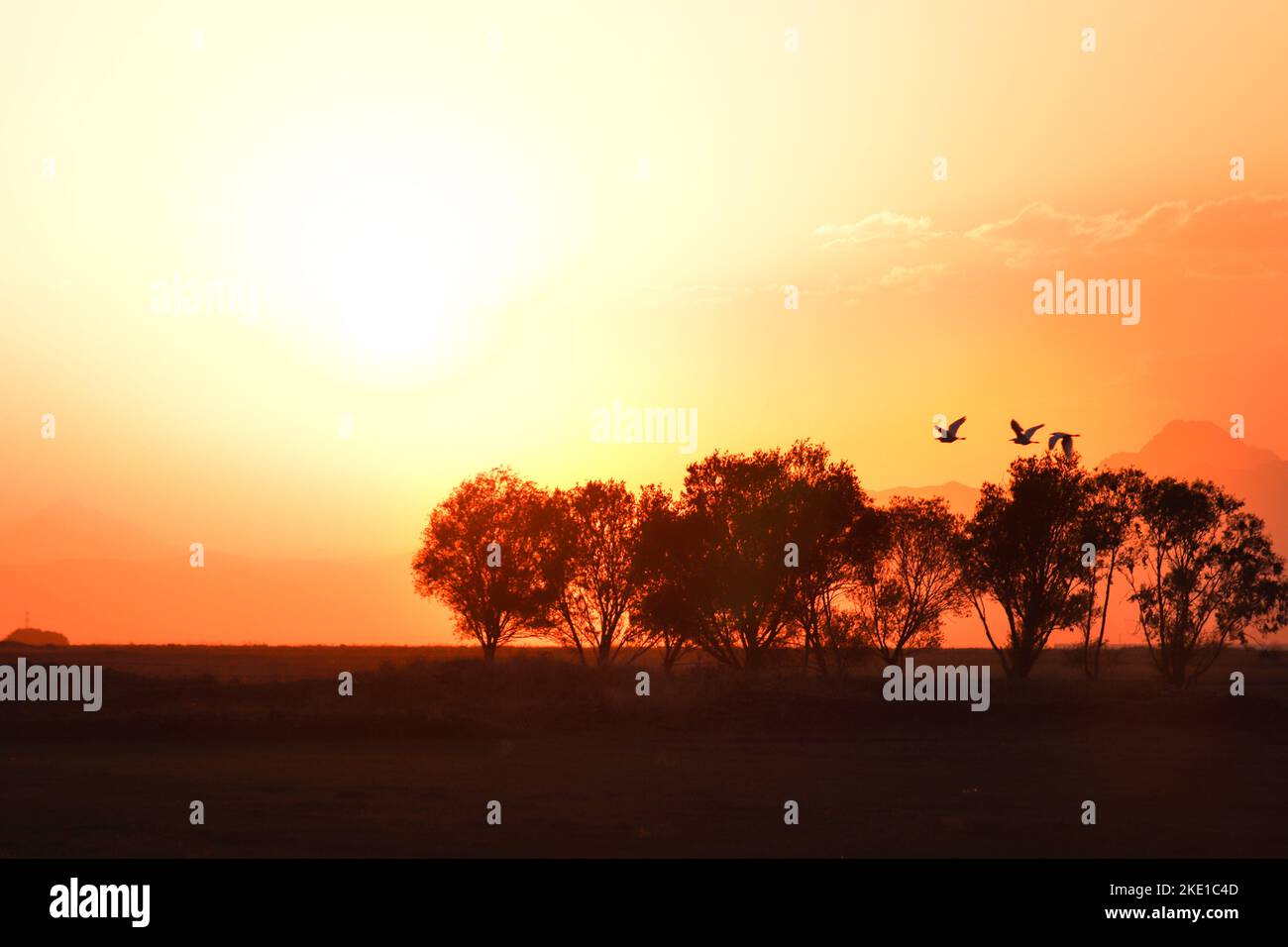 Sunset silhouettes. The sunset was taken in reverse light. Background ...