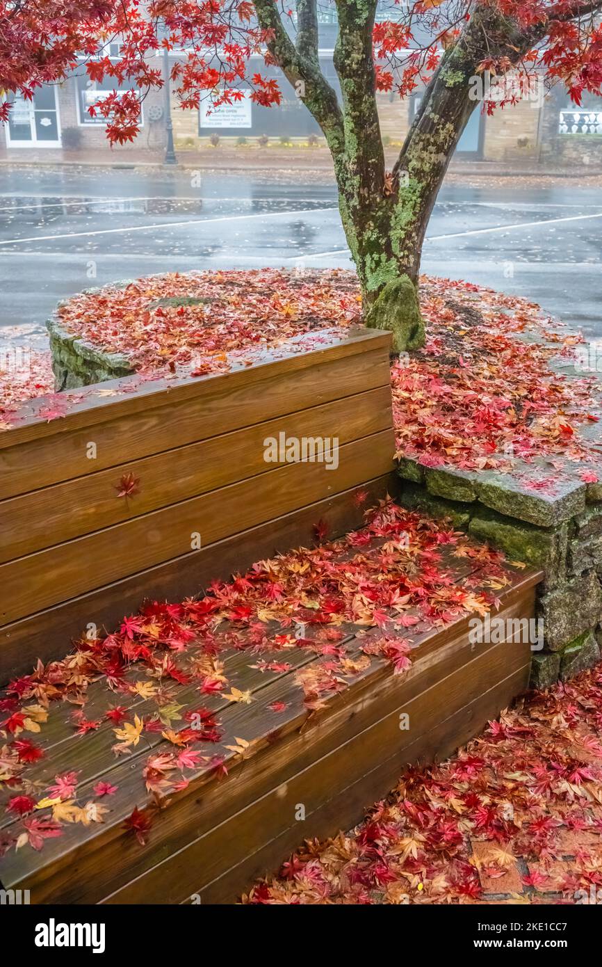 Downtown highlands north carolina hi-res stock photography and images ...
