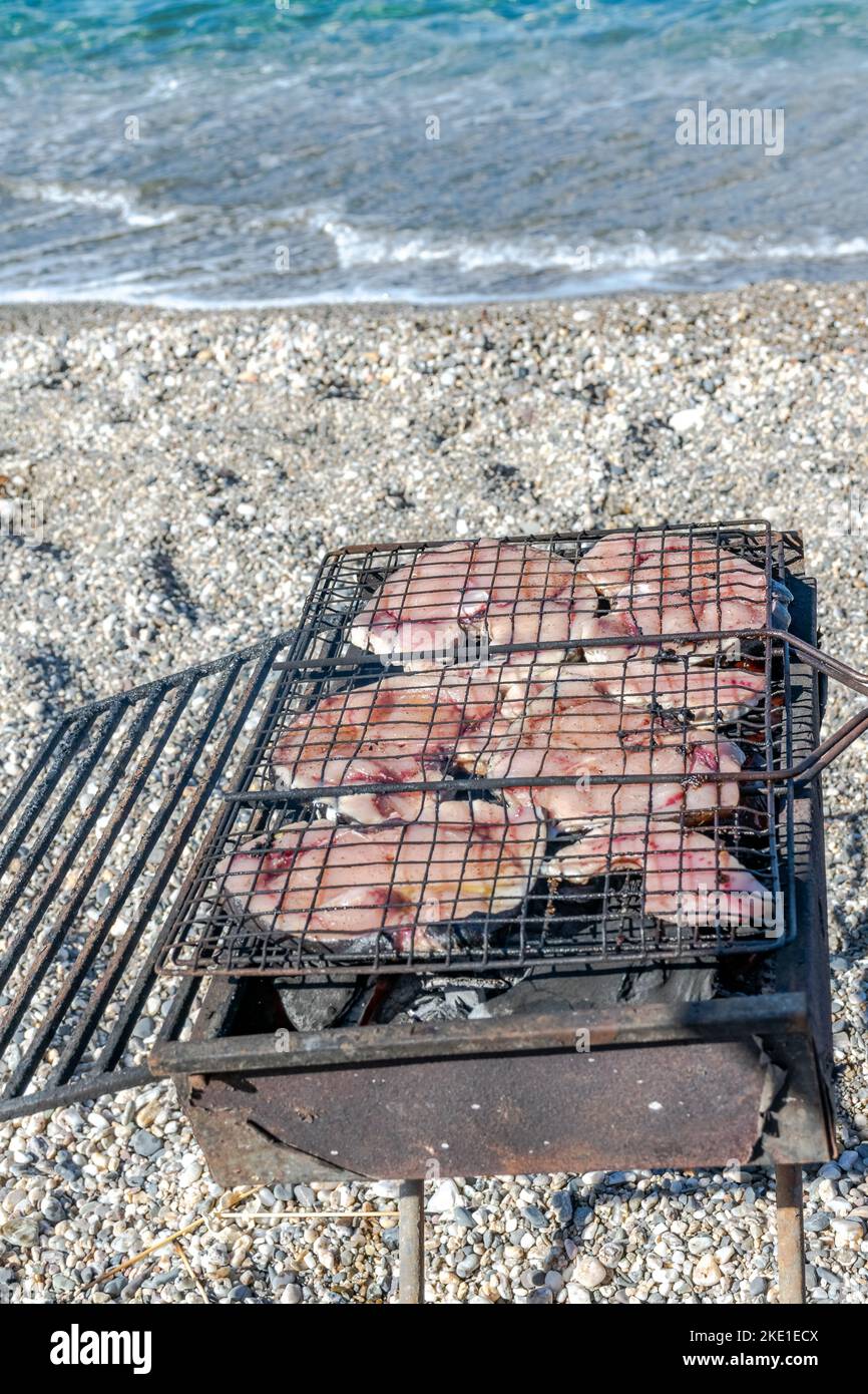 Grilled slices of swordfish in a barbecue grill, selective focus on ...
