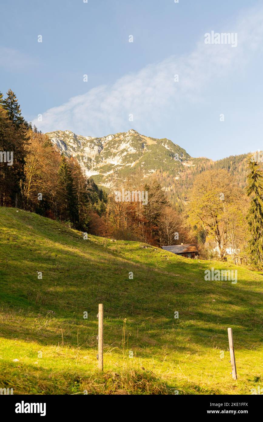 A beautiful landscape of the green hills in Hallstatt, in a vertical ...