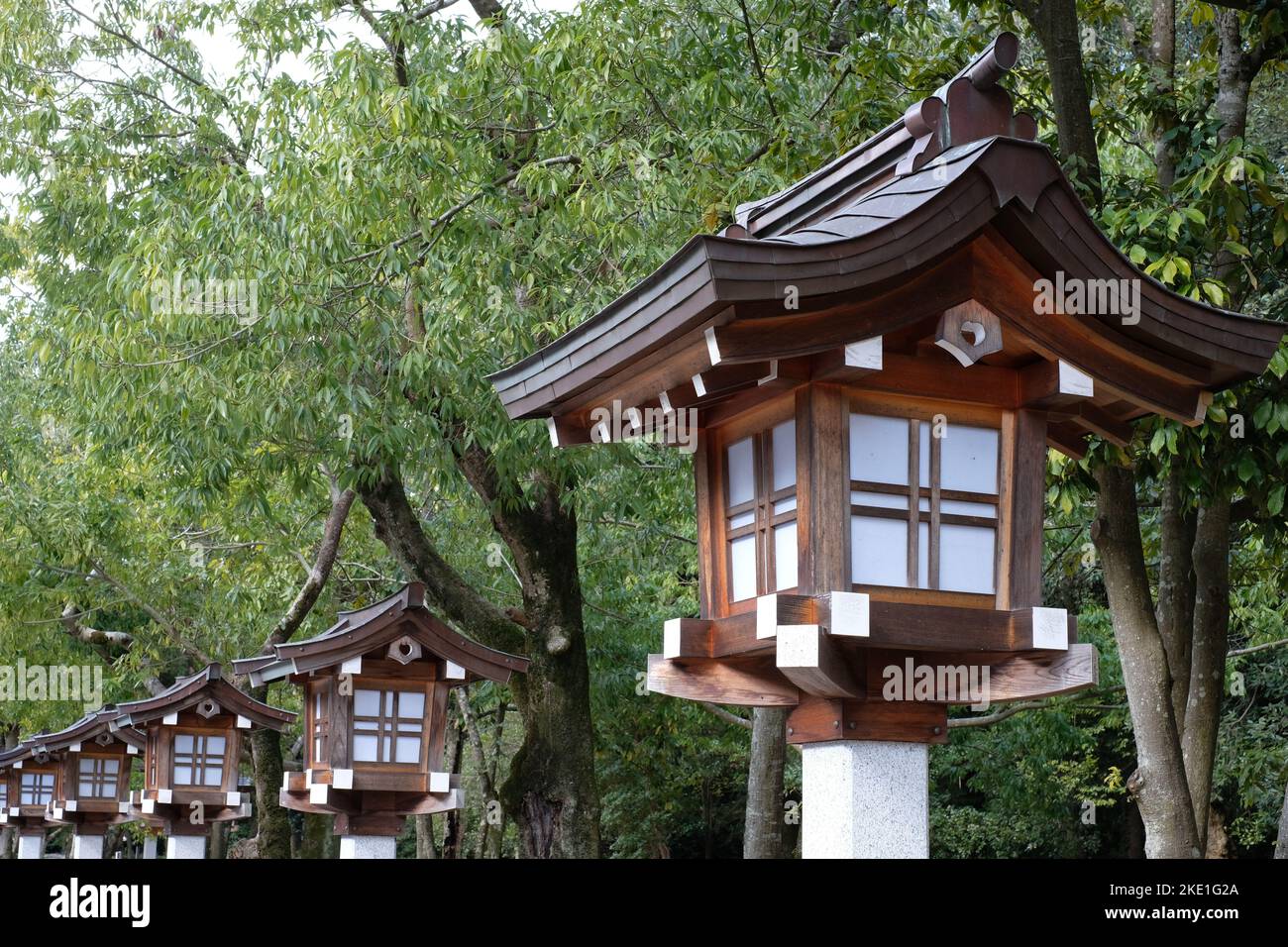 A line of Medieval wooden Japanese garden lanterns in the park, Japan ...