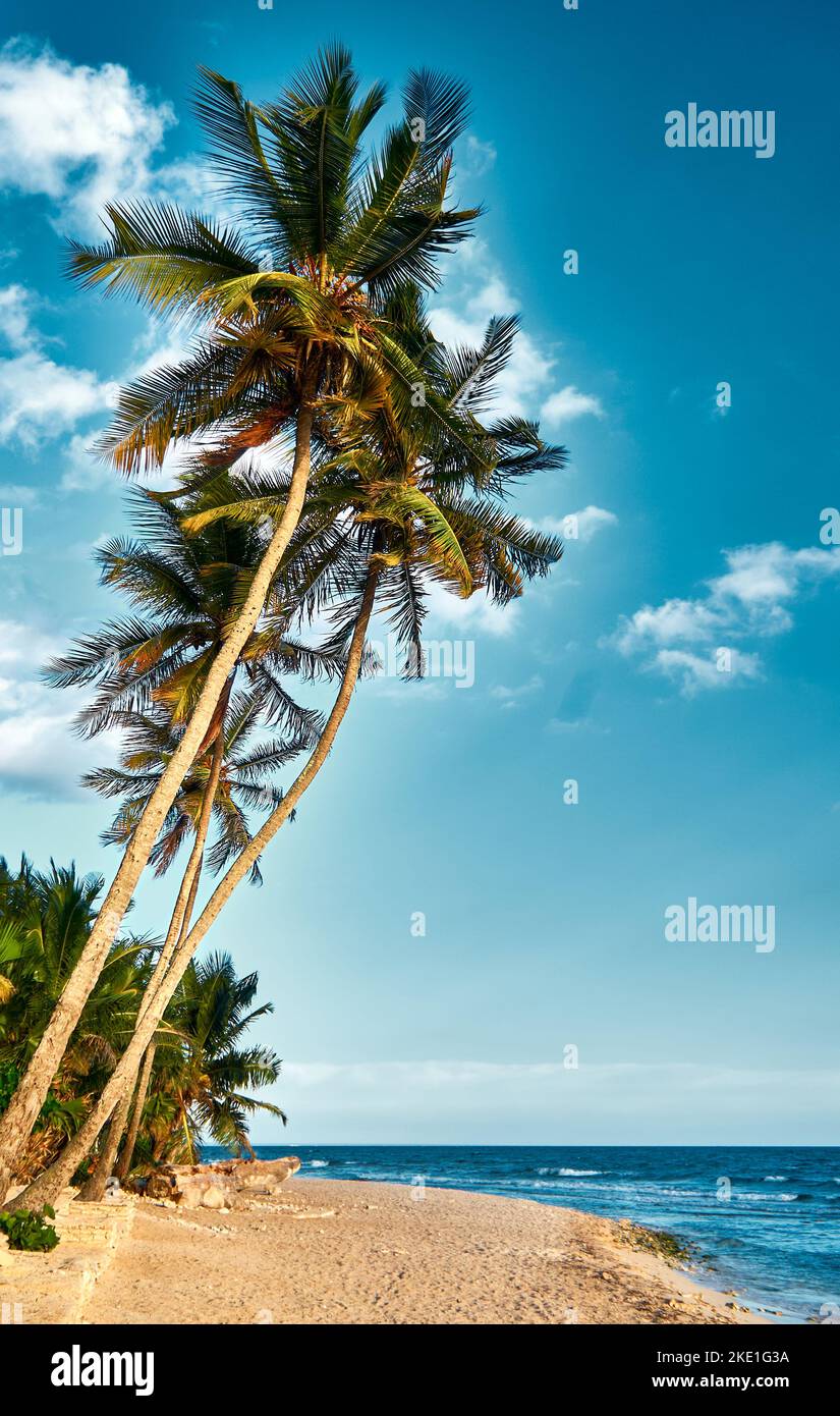 Most beautiful sunset of the beach with the setting sun Stock Photo - Alamy