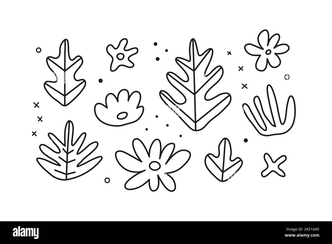 Set of simple doodle outline tropical leaves and flowers isolated on ...
