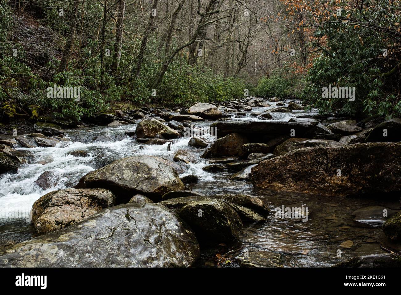 A beautiful view of a river flowing through stones in a forest Stock ...