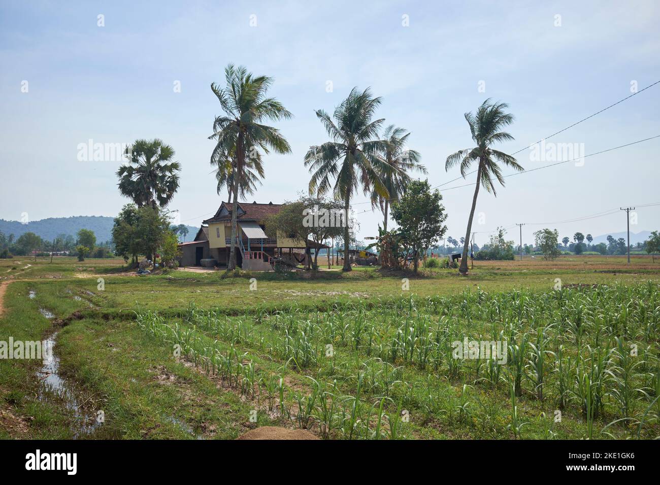 Farmland near Kampot Cambodia Stock Photo - Alamy