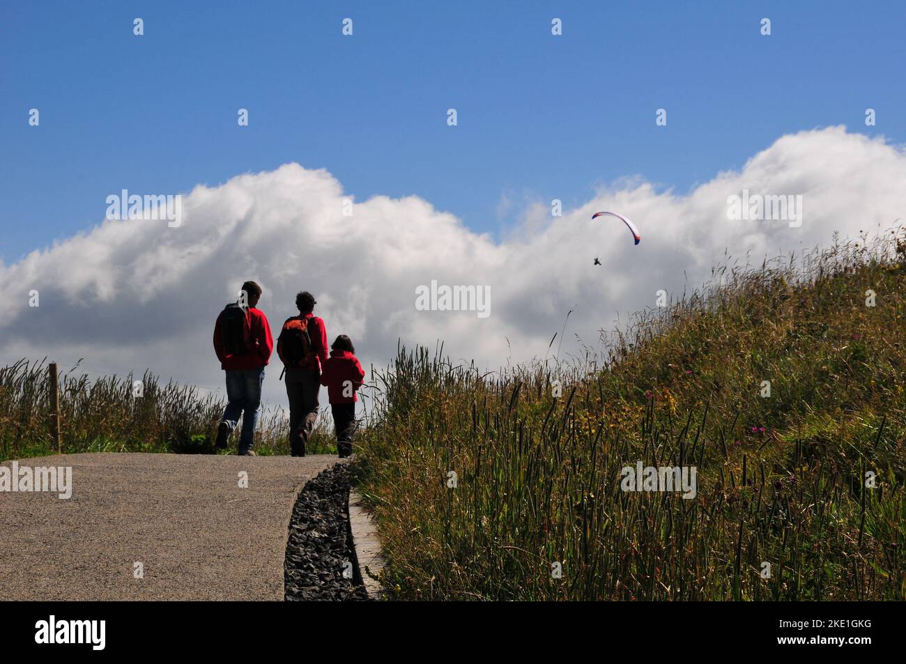 A low-angle of a family walking on the narrow road, yellowing grass ...