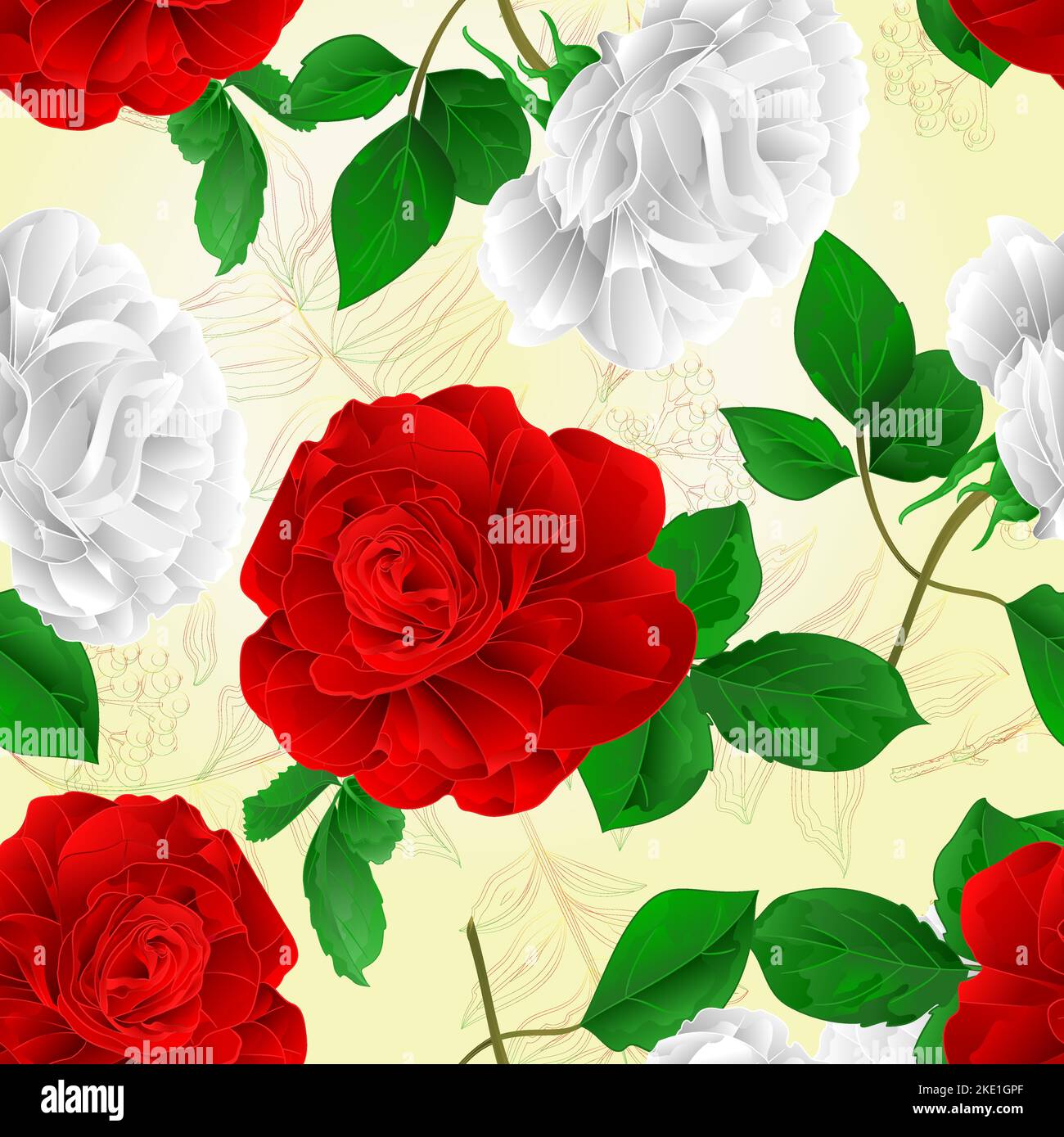 Seamless texture rose white and red flower and leaves natural background vintage vector ...