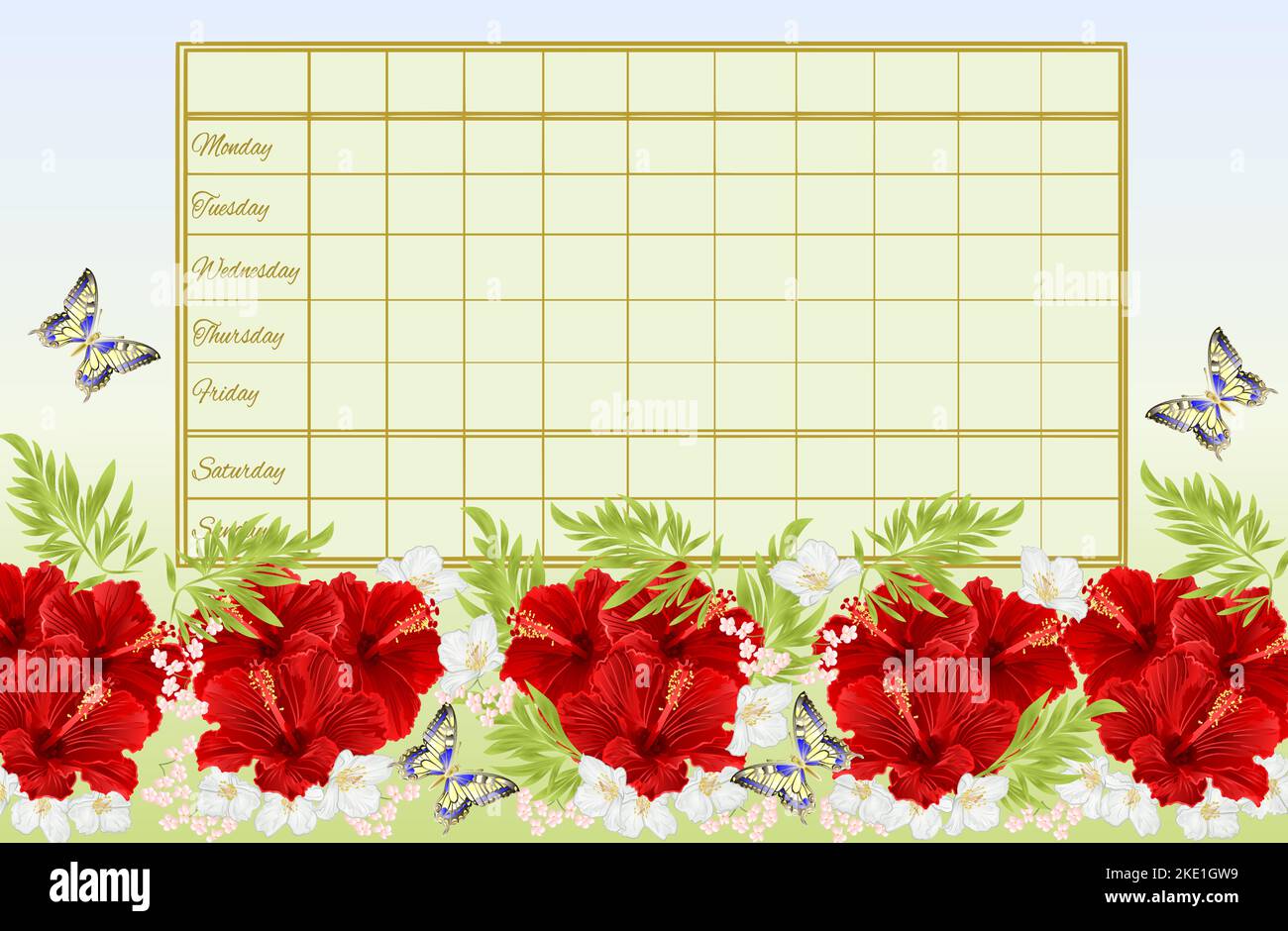 Timetable weekly schedule with red hibiscus flowers with jasmine and ...