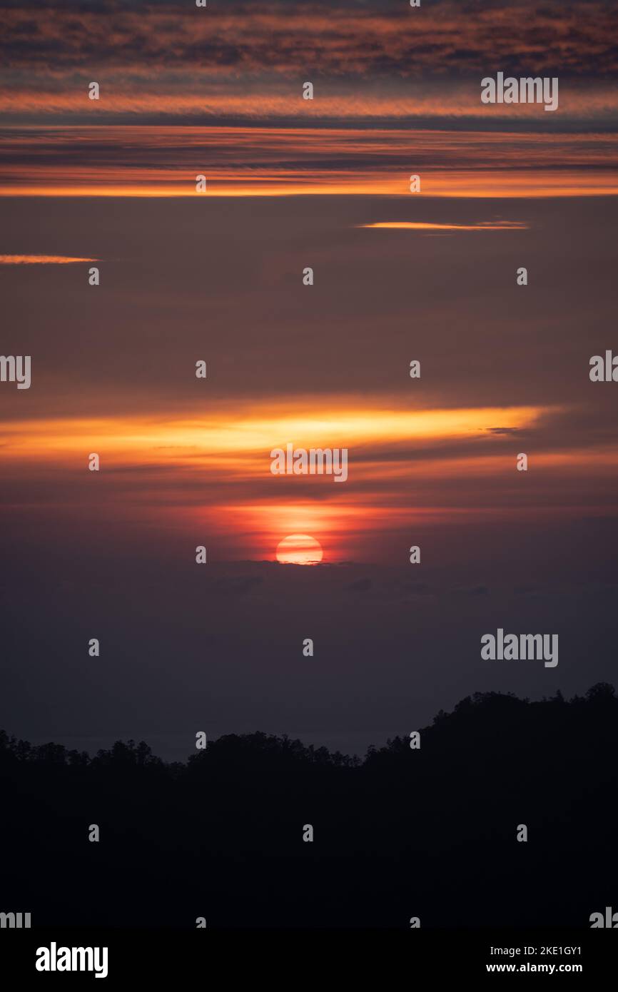 A vertical sunrise view with a red sun making clouds purple and tree ...