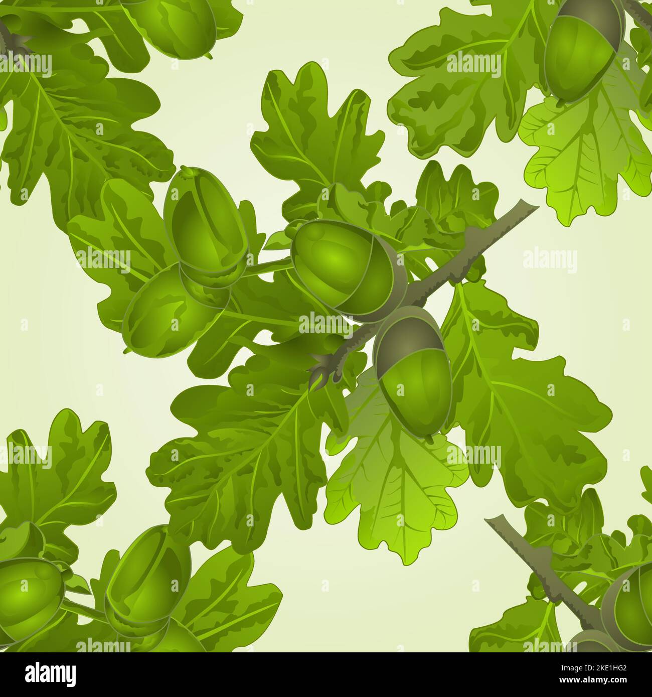 Seamless texture branch of oak with acorns and leaves natural summer ...