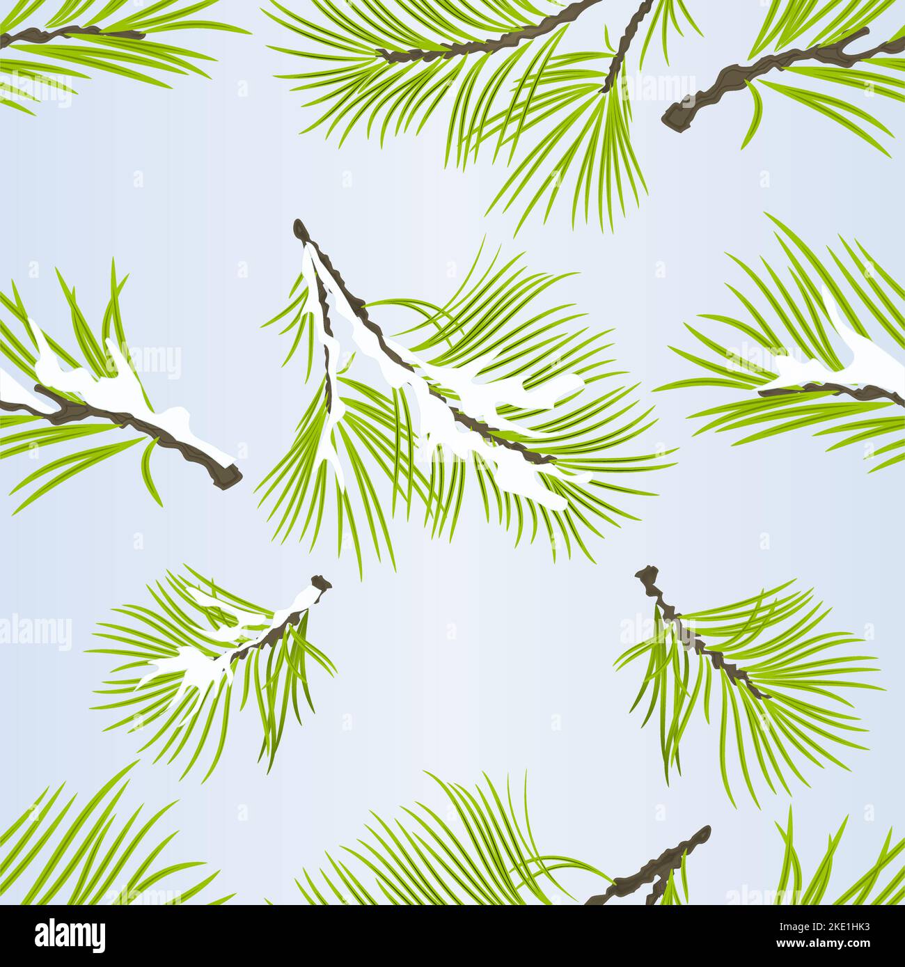 Seamless texture pine tree branches lush conifer autumnal and winter ...