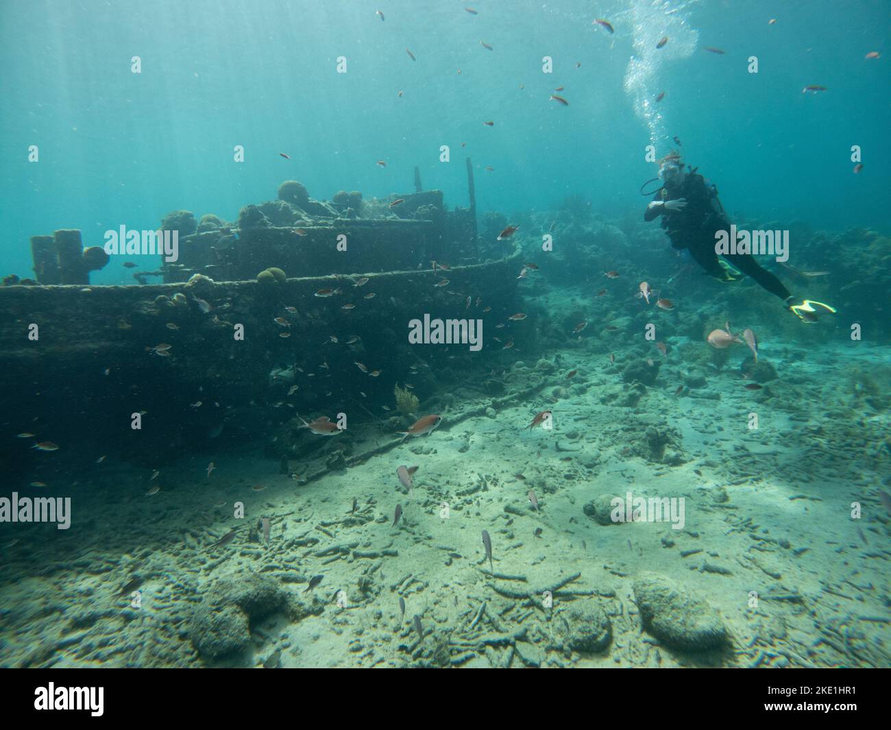 Cave diving underwater exploring ocean hi-res stock photography and ...