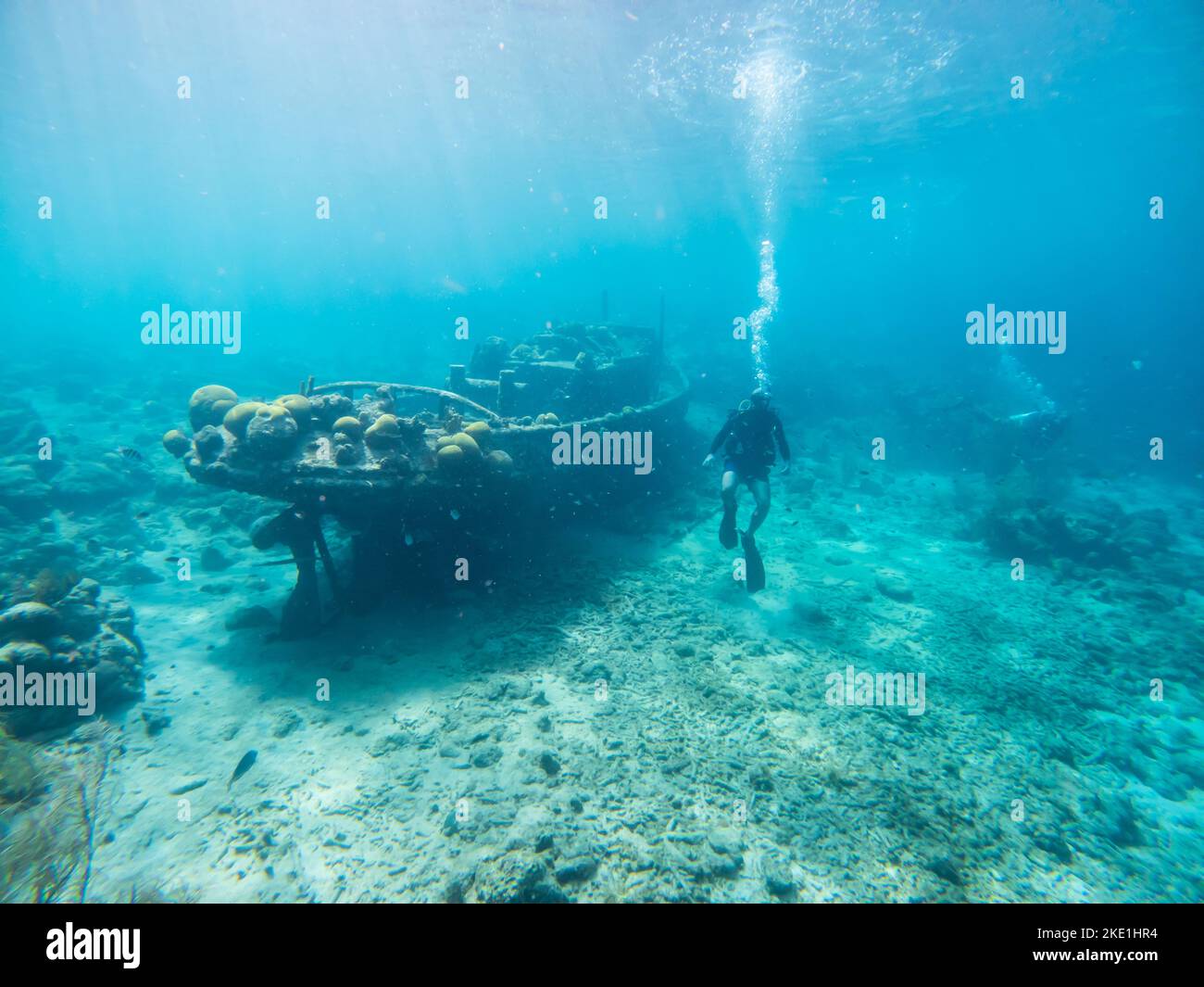 A scuba diver underwater exploring the ocean Stock Photo - Alamy