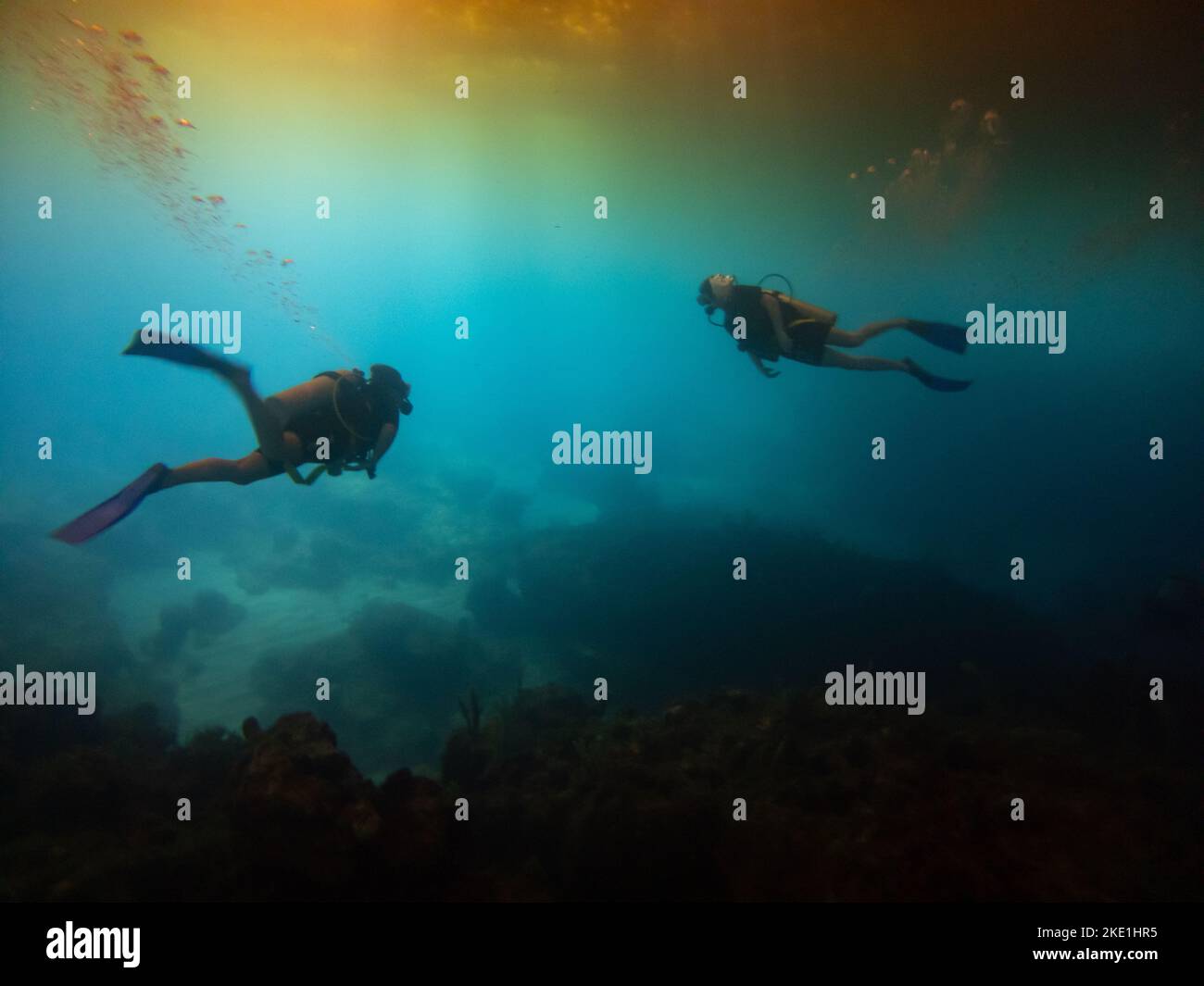 Two scuba divers underwater exploring the ocean Stock Photo - Alamy
