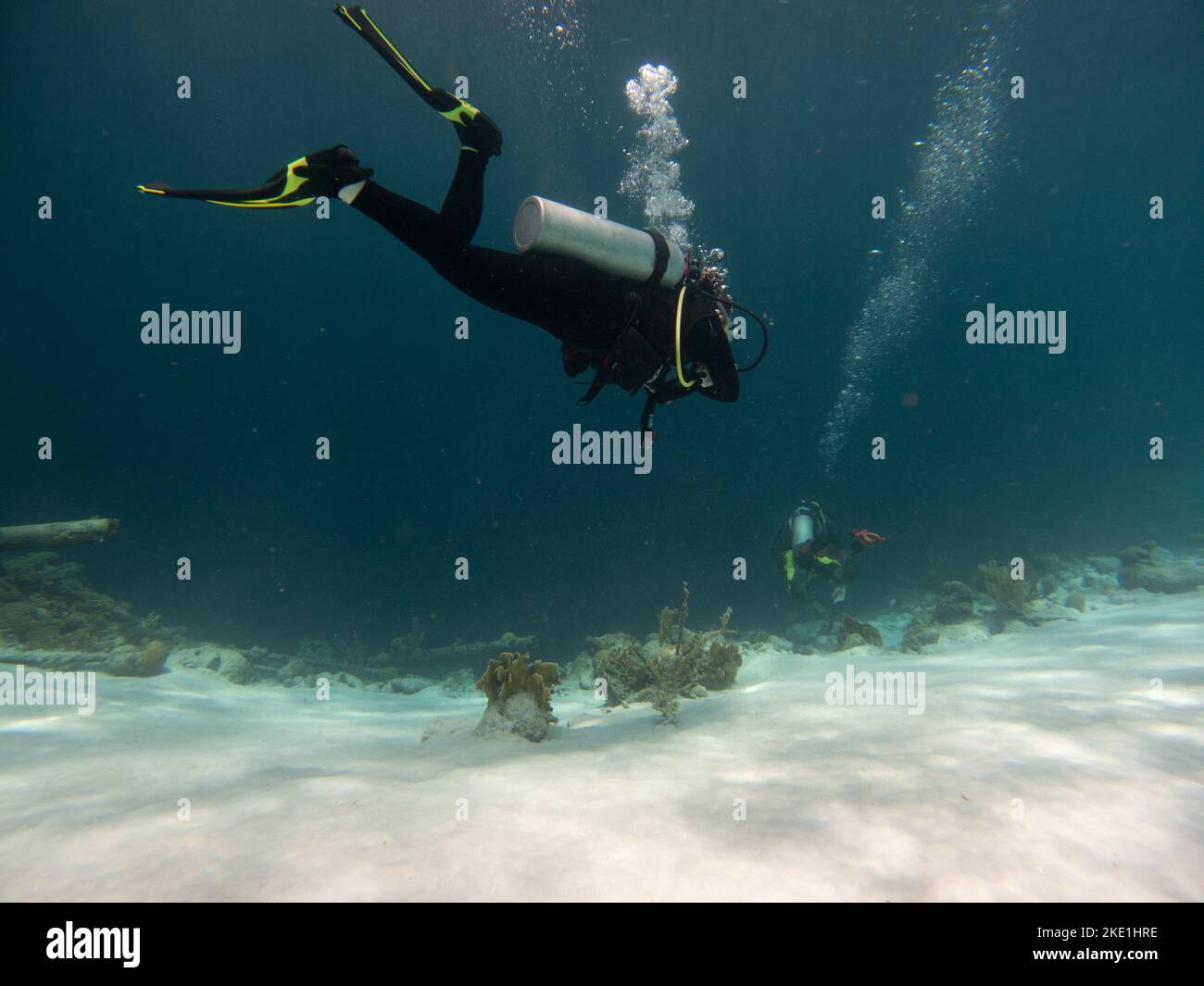 A scuba diver underwater exploring the ocean Stock Photo - Alamy