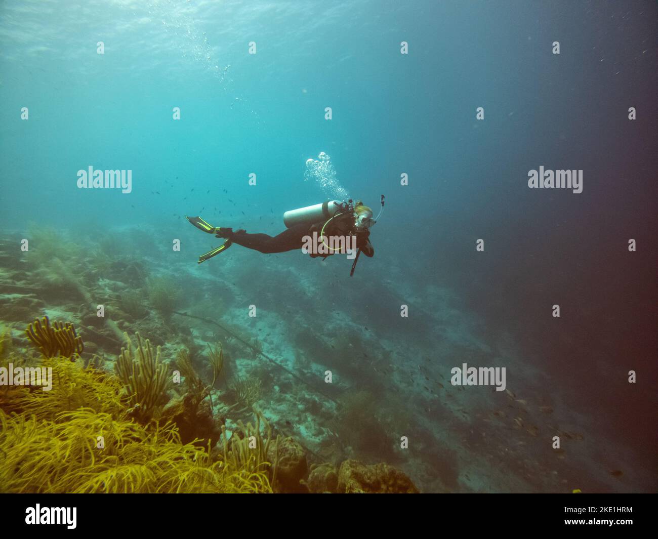 A scuba diver underwater exploring the ocean Stock Photo - Alamy