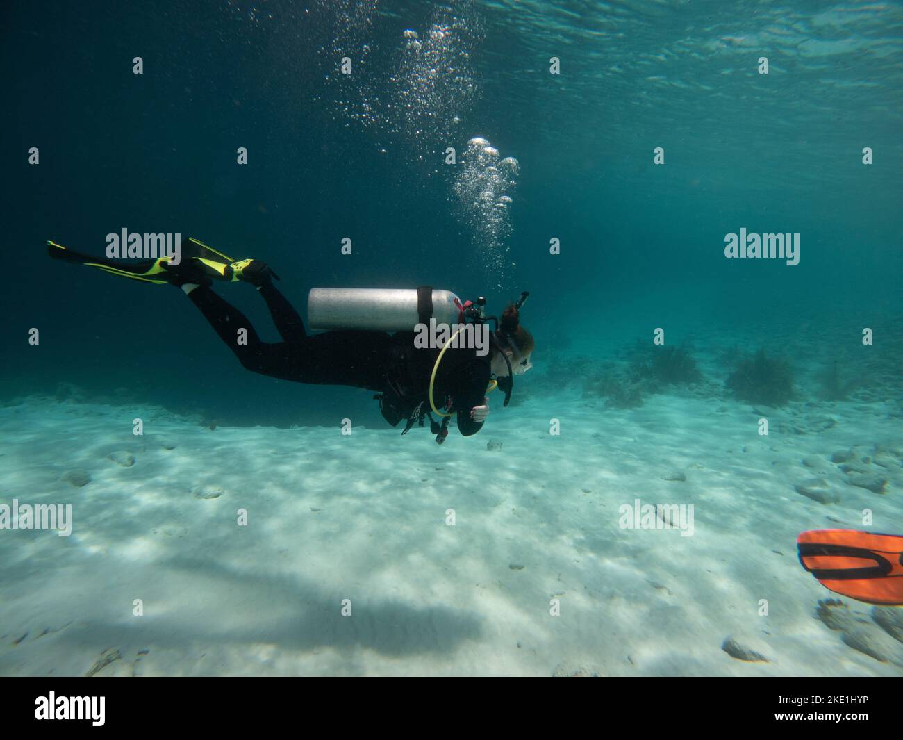 A scuba diver underwater exploring the ocean Stock Photo - Alamy