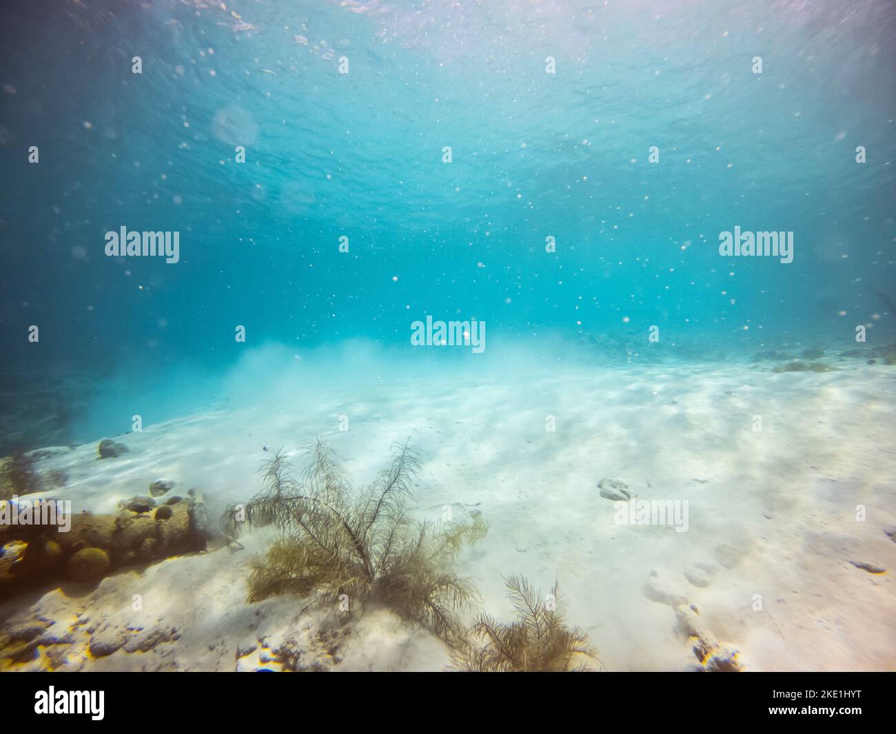 An underwater view of shallow waters Stock Photo - Alamy